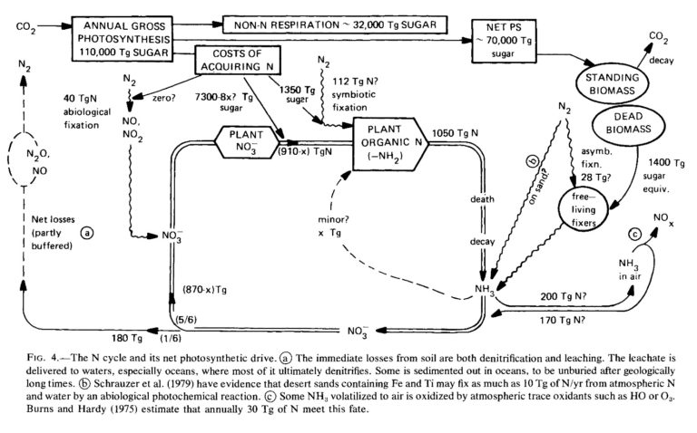 Appendix. Recycling of nitrogen on Earth - Las Cruces Academy Outreach